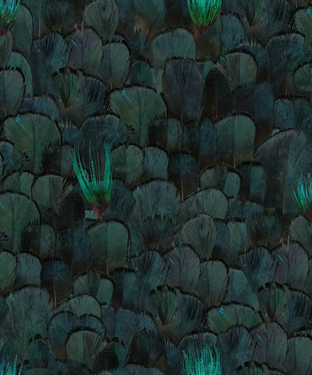 Green Feather Pattern Wallpaper | Mineheart Wallpaper